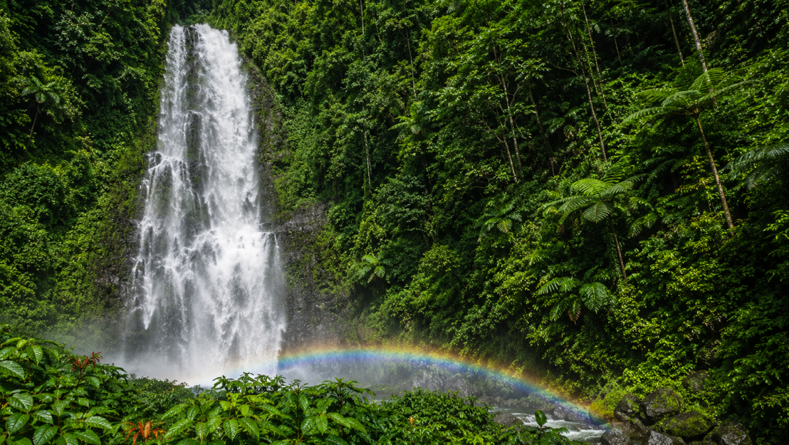 Bali Jungle Trekking and Waterfall Tamblingan Lake | Private Tour US$77 ...